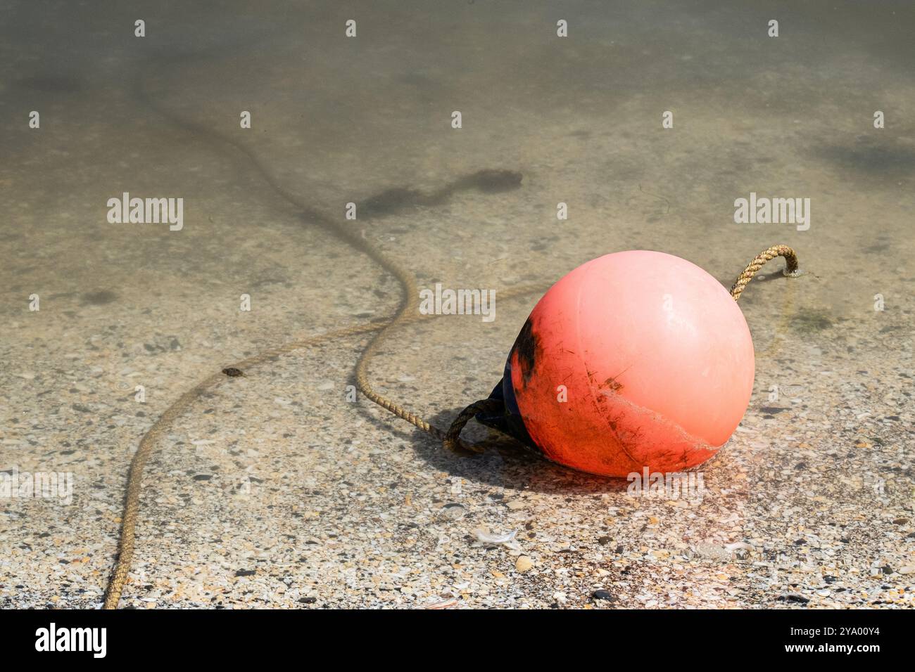 A red buoy secured by a rope resting on a sandy sea bed at low tide in ...