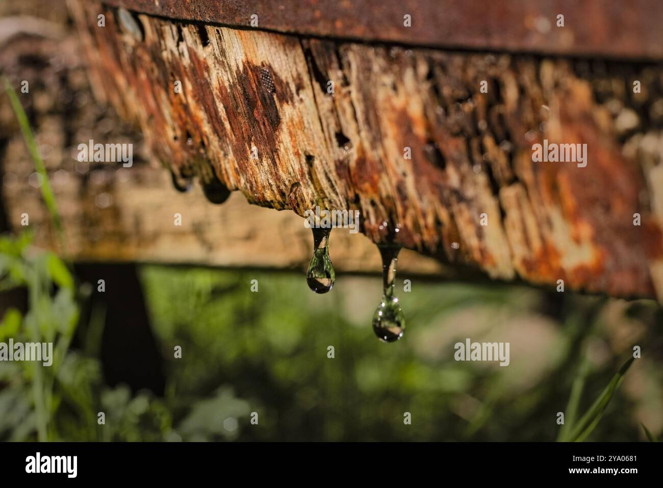 water droplets falling off an old wooden bathtub Stock Photo - Alamy