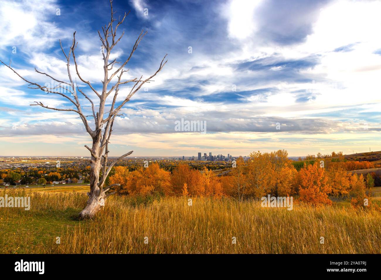 Calgary autumn city hi-res stock photography and images - Alamy