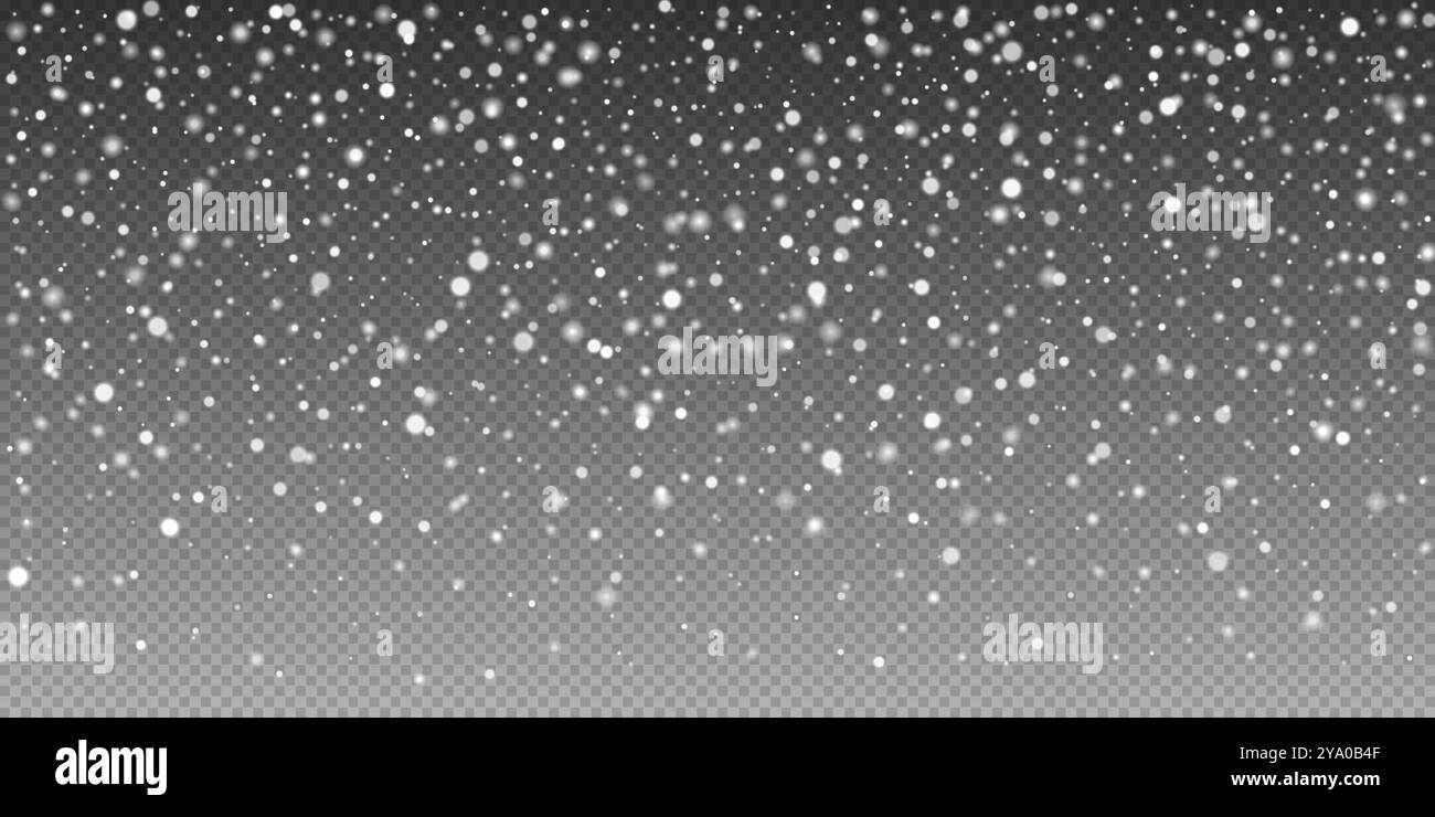 Falling snowflakes on a transparent background. Winter white snow flake ...