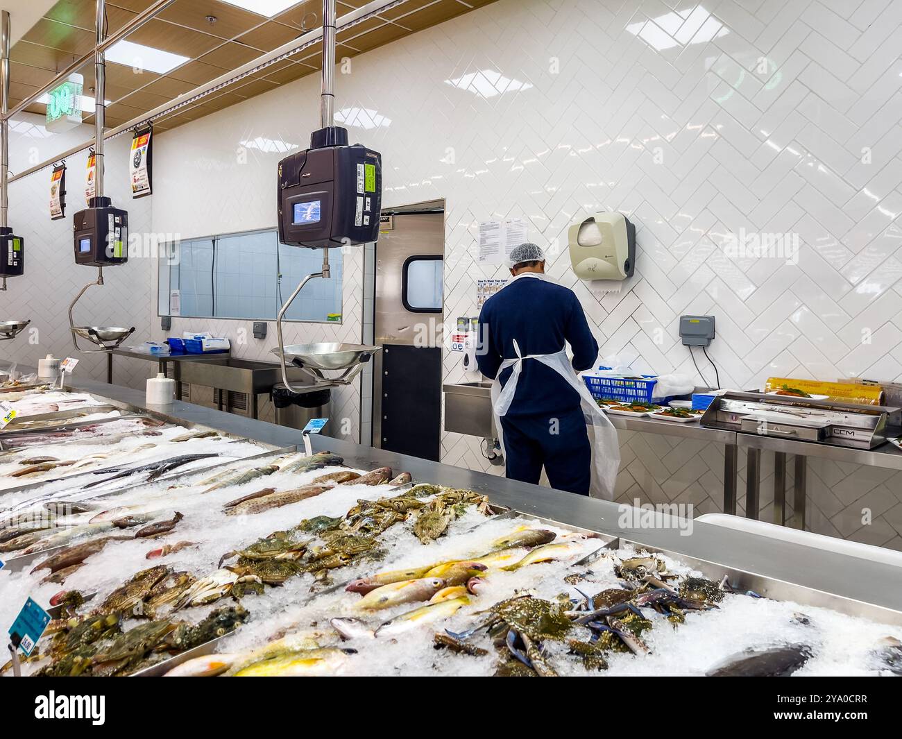 Fresh fish displayed in a shop at Lulu hypermarket. Doha, Qatar Oct 10 ...
