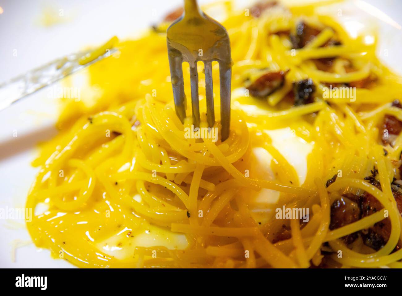 Traditional spaghetti carbonara with guanciale bacon Stock Photo - Alamy
