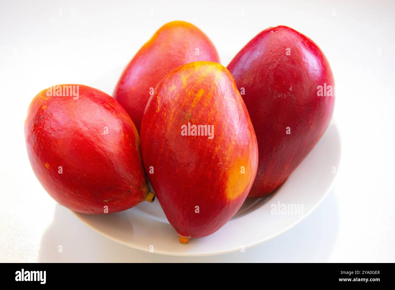 Brazilian mangoes of the Palmer species, ripe and isolated Stock Photo ...