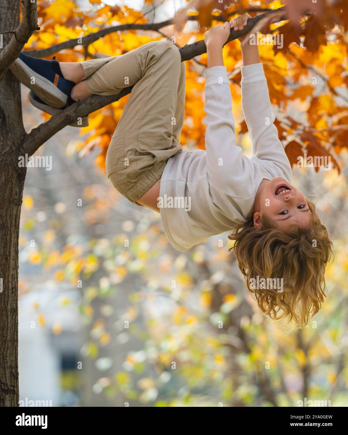 Cute child climbing a autumn tree in the garden. Active child climbing ...