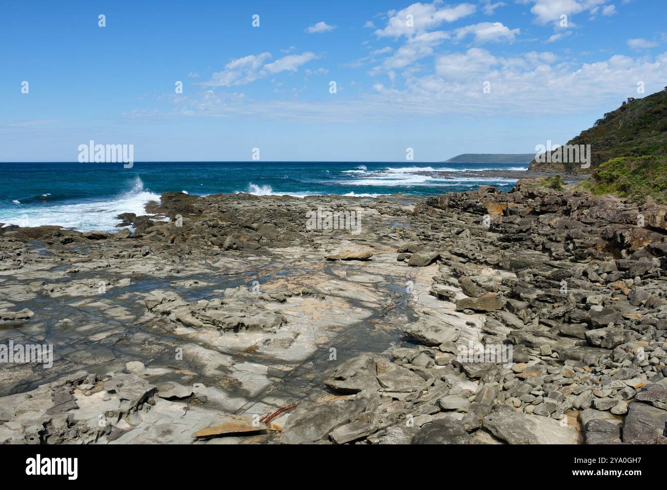 Tide pools marine life on australia hi-res stock photography and images ...