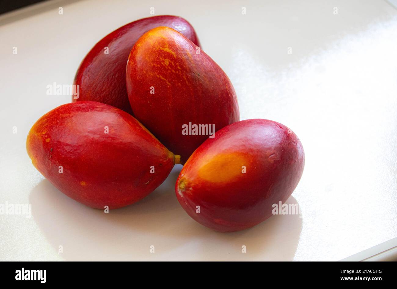 Brazilian mangoes of the Palmer species, ripe and isolated Stock Photo ...