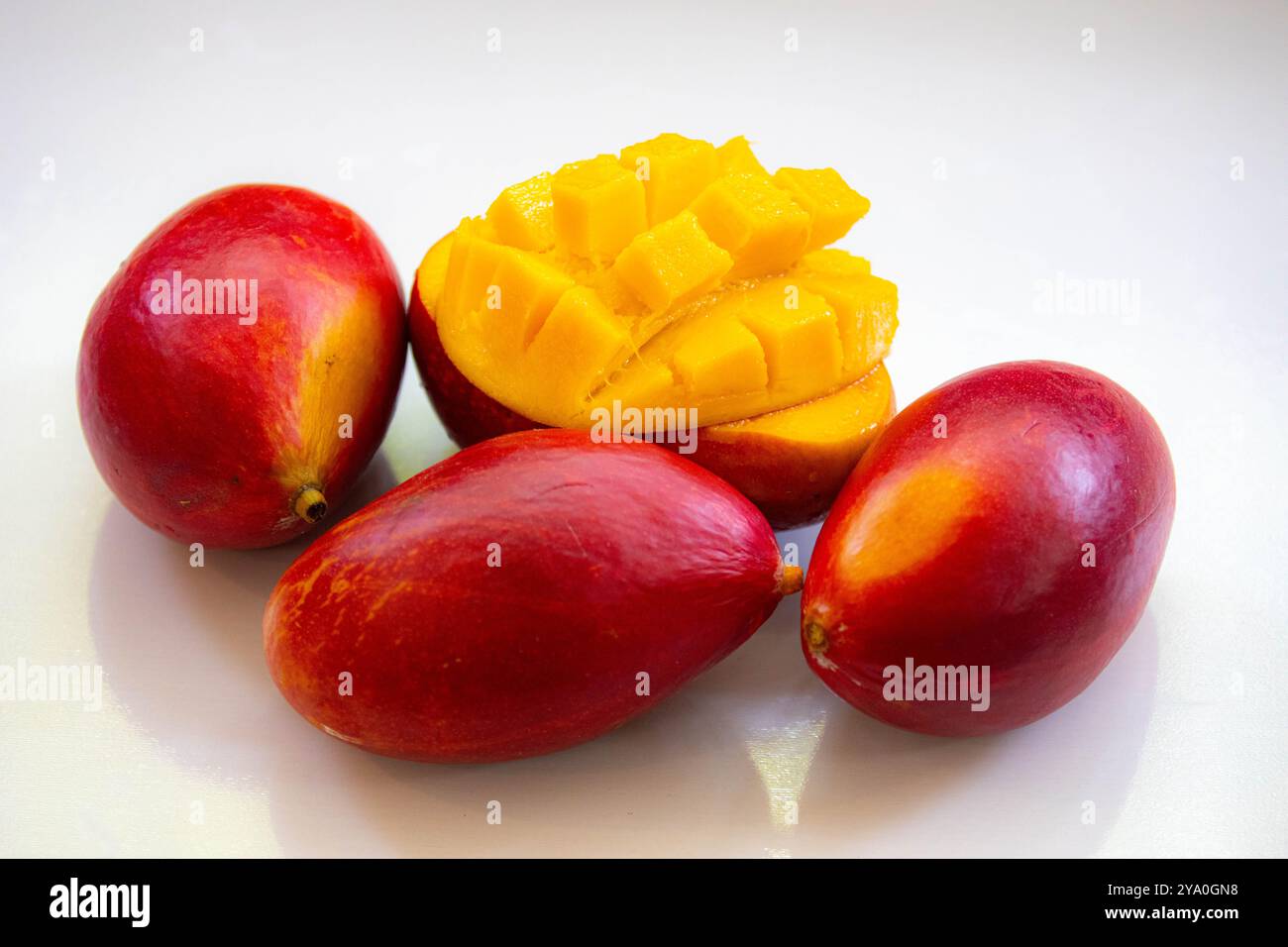 Brazilian mangoes of the Palmer species, ripe and isolated Stock Photo ...