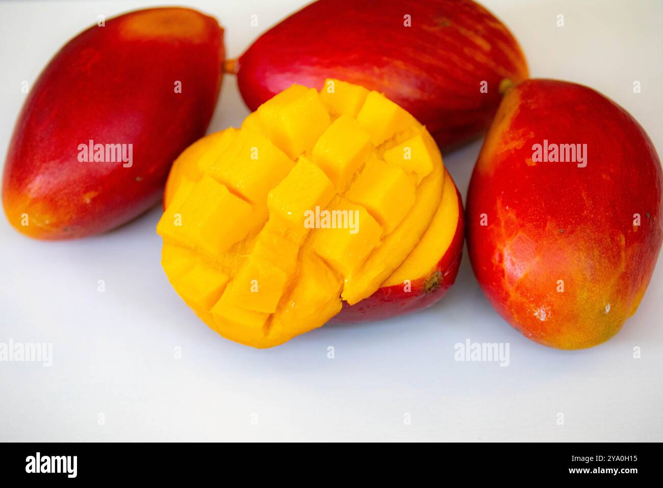 Brazilian mangoes of the Palmer species, ripe and isolated Stock Photo ...