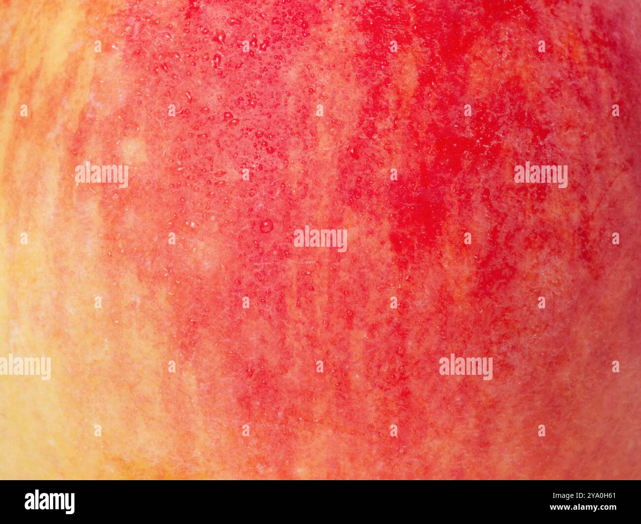 Red and yellow apple texture with water drops as background Stock Photo ...