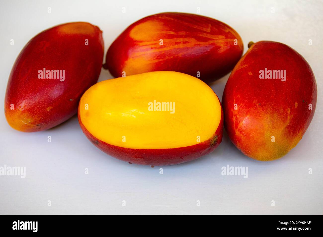 Brazilian mangoes of the Palmer species, ripe and isolated Stock Photo ...