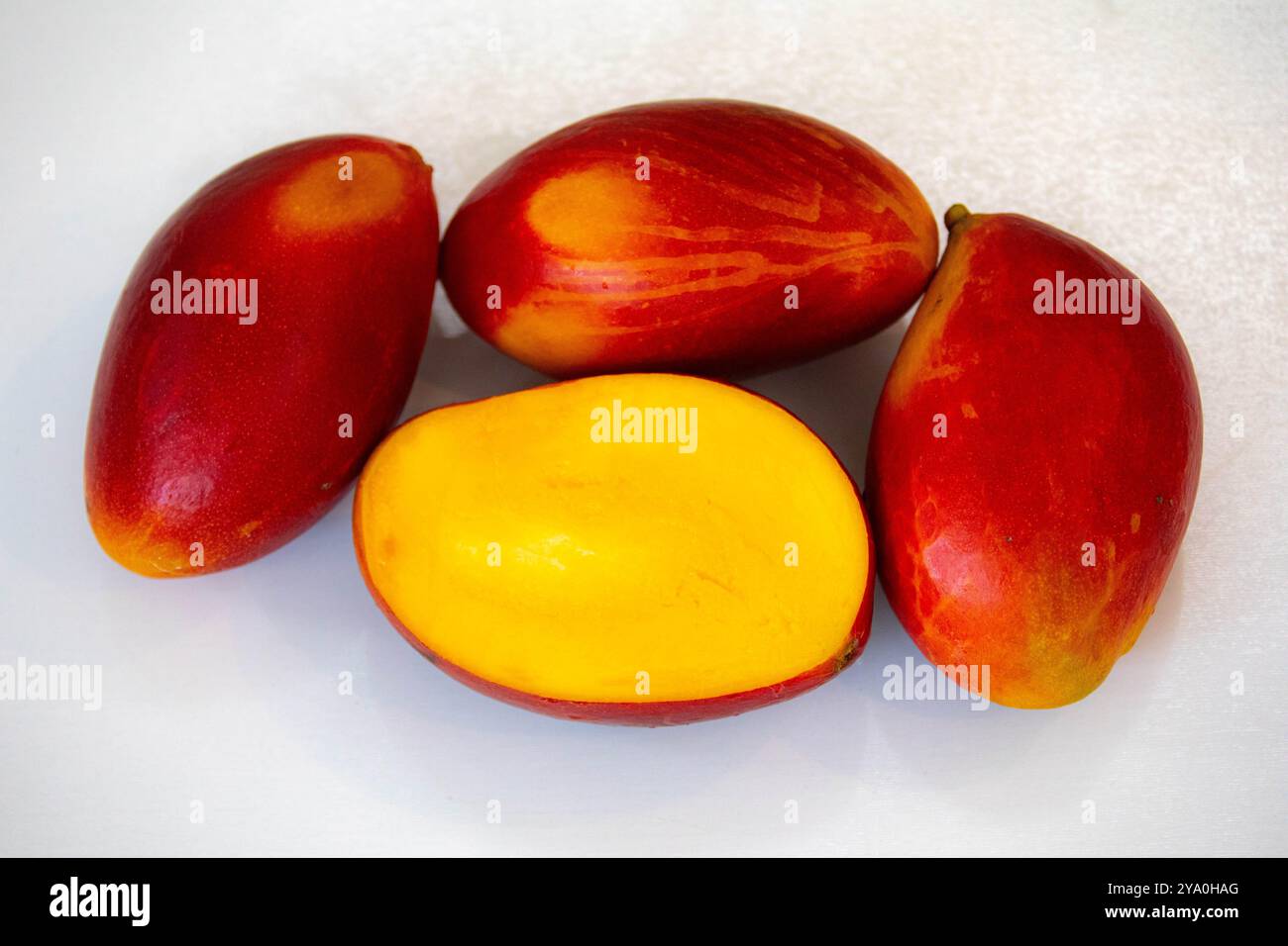 Brazilian mangoes of the Palmer species, ripe and isolated Stock Photo ...