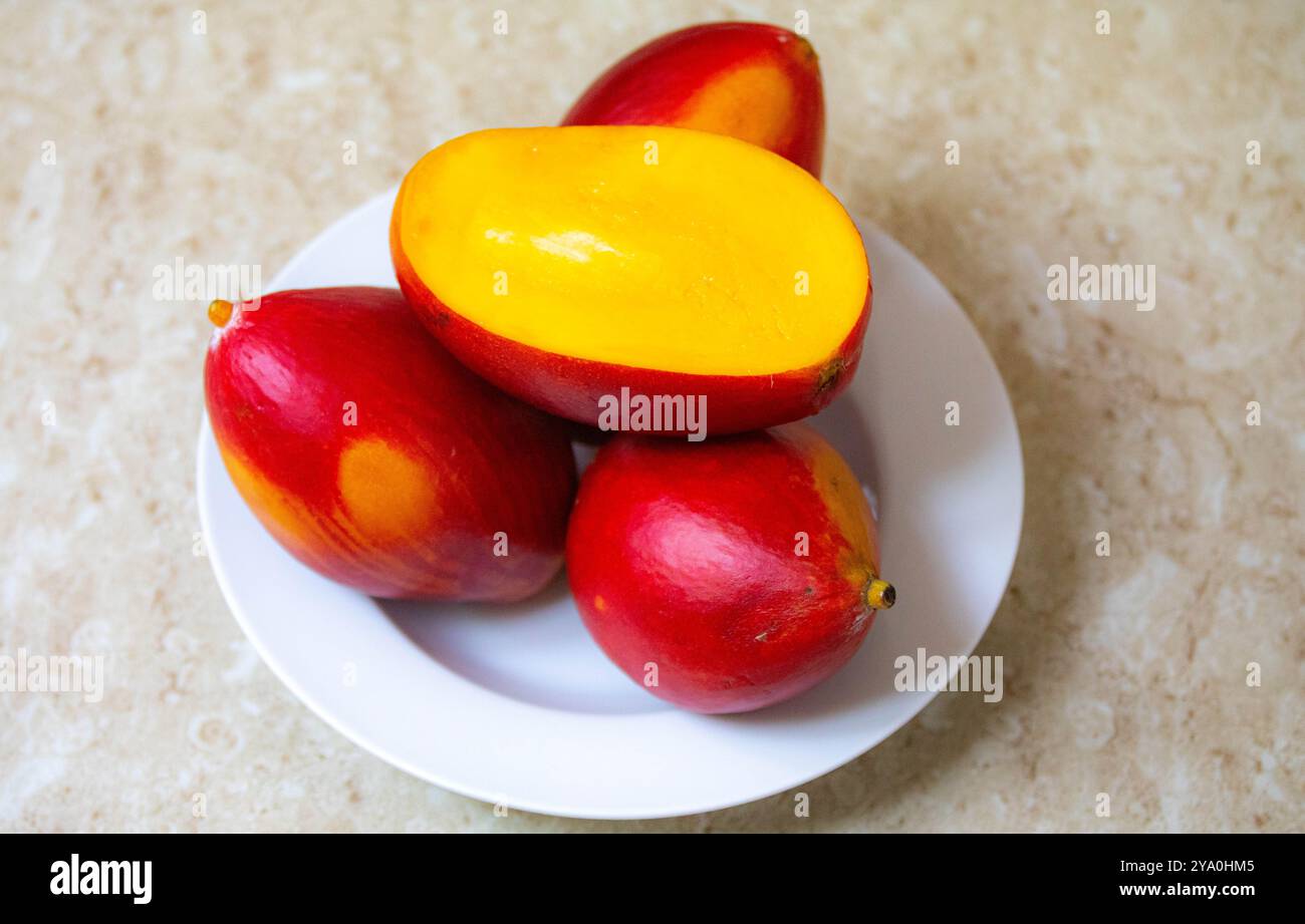 Brazilian mangoes of the Palmer species, ripe and isolated Stock Photo ...