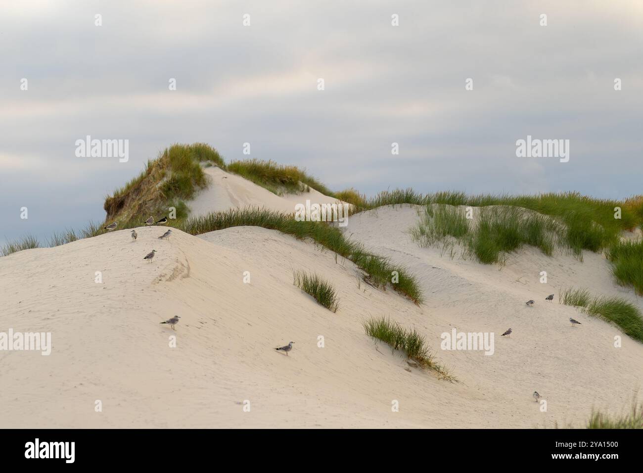 Soft clouds drift hi-res stock photography and images - Alamy