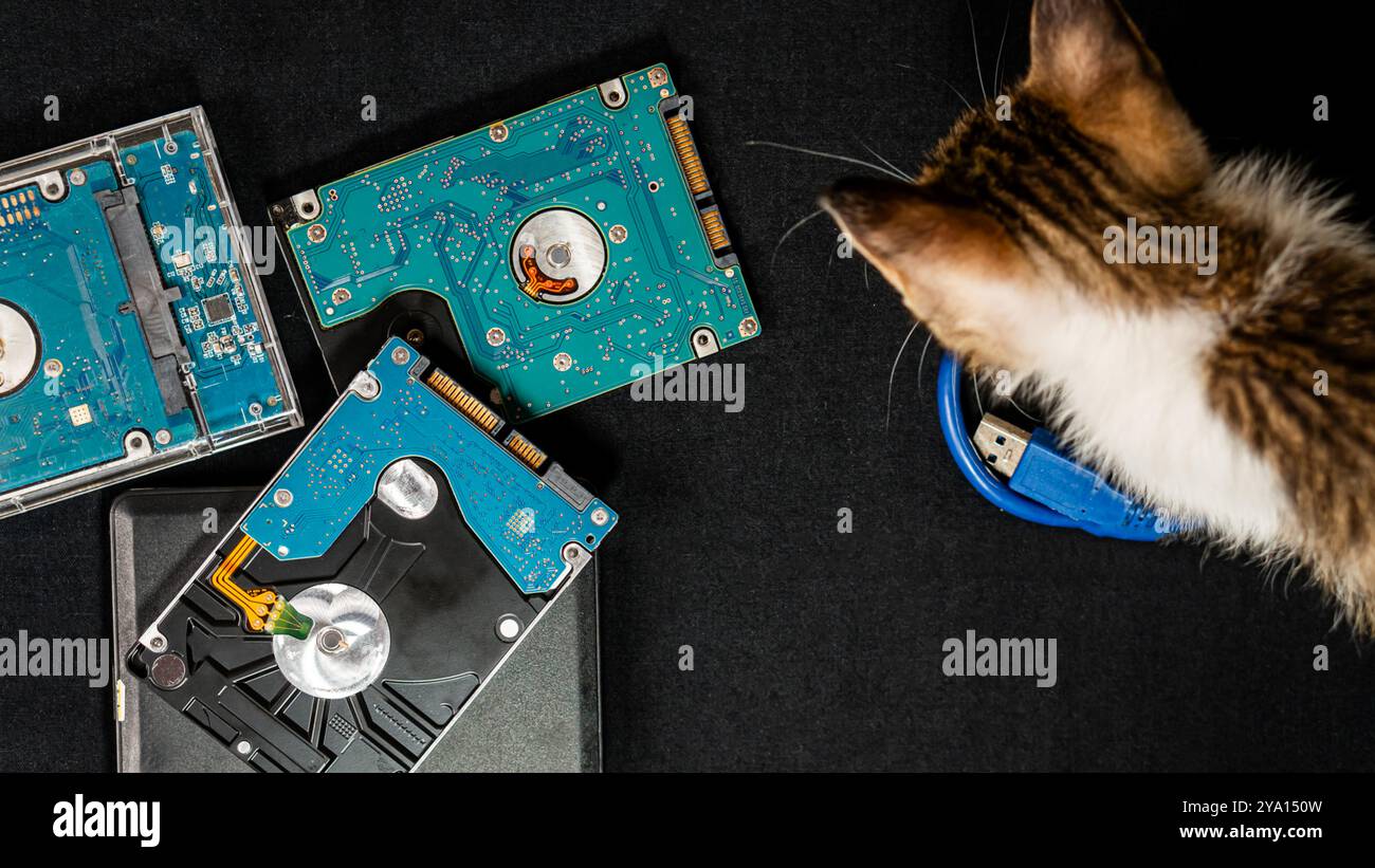 Person hard plastic bottle hi-res stock photography and images - Alamy