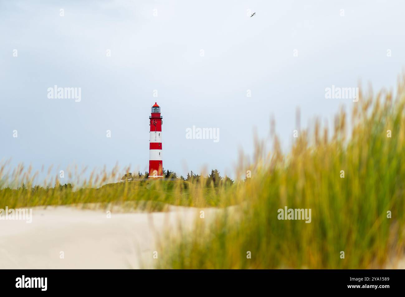 A vibrant lighthouse with a red and white design rises above the sandy ...