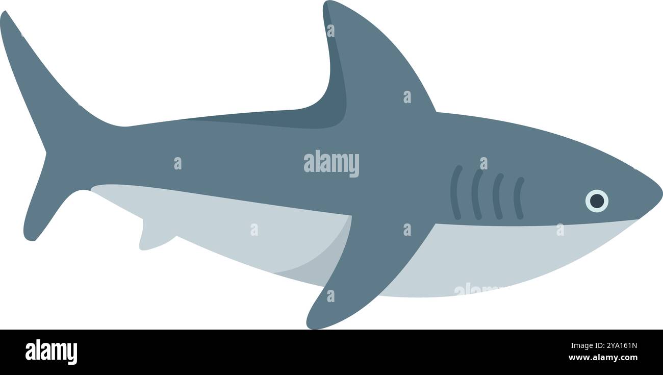 Illustration cartoon gray reef shark Stock Vector Images - Alamy