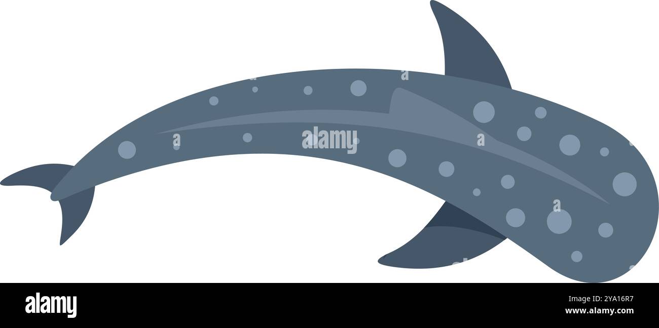 Whale shark is swimming gracefully, its distinctive white spots ...