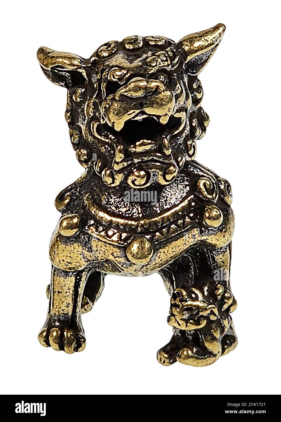 Front view of a female foo dog Stock Photo - Alamy