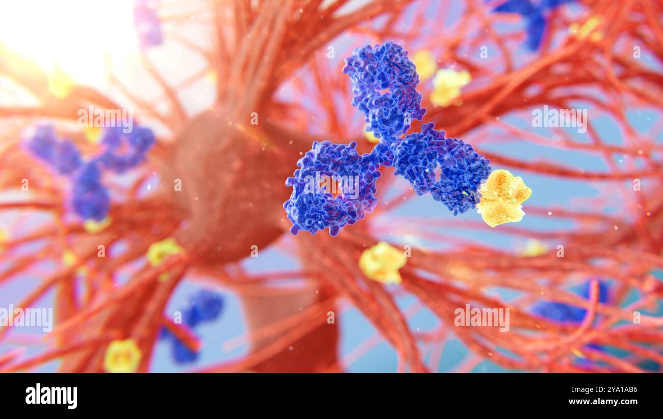 Illustration of an antibody (blue) binding to amyloid protein (yellow ...