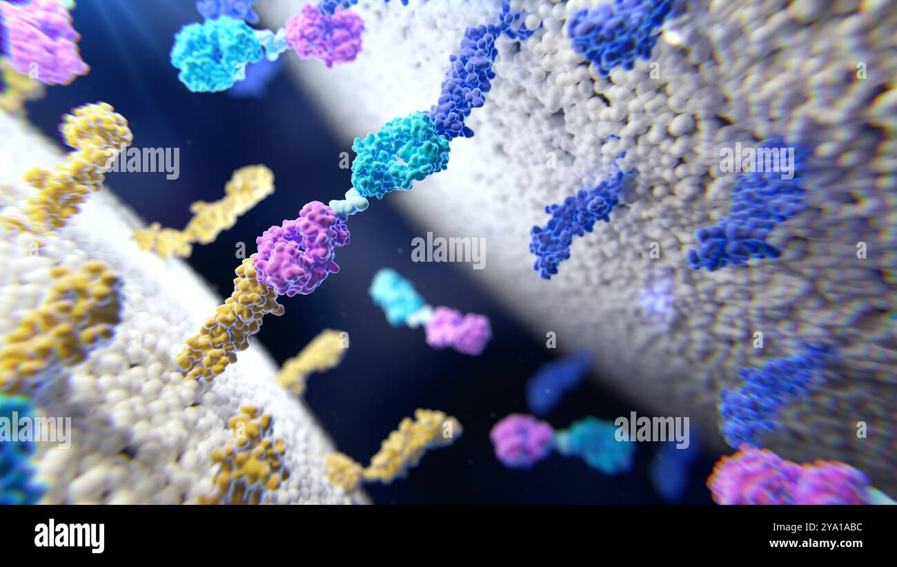 Fusion techniques hi-res stock photography and images - Alamy