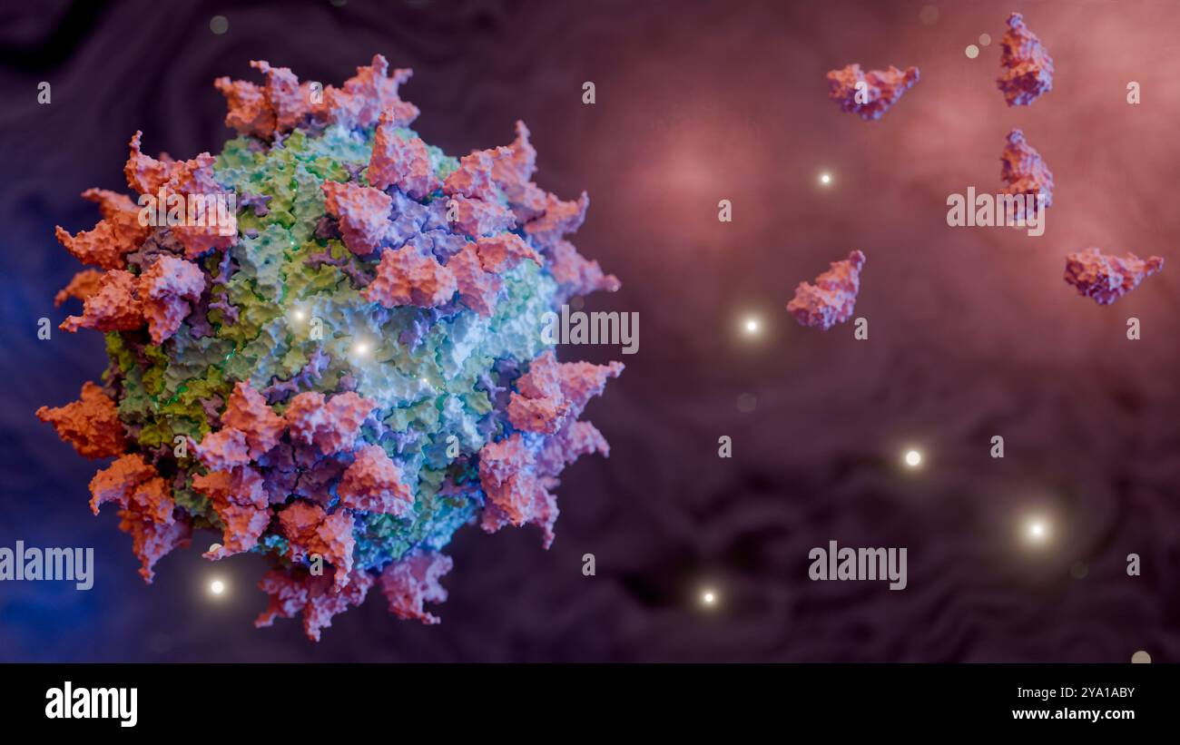 Rhinovirus, illustration. Rhinoviruses (RVs) are the most common cause ...