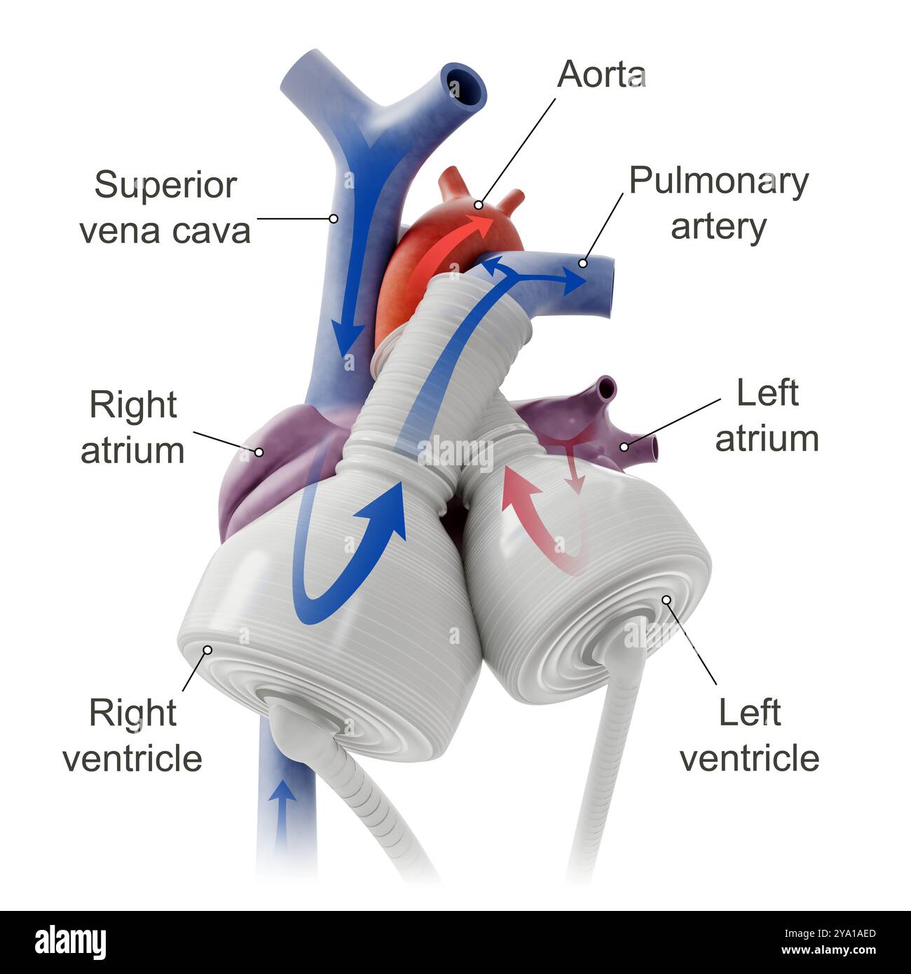 Edge device text hi-res stock photography and images - Alamy