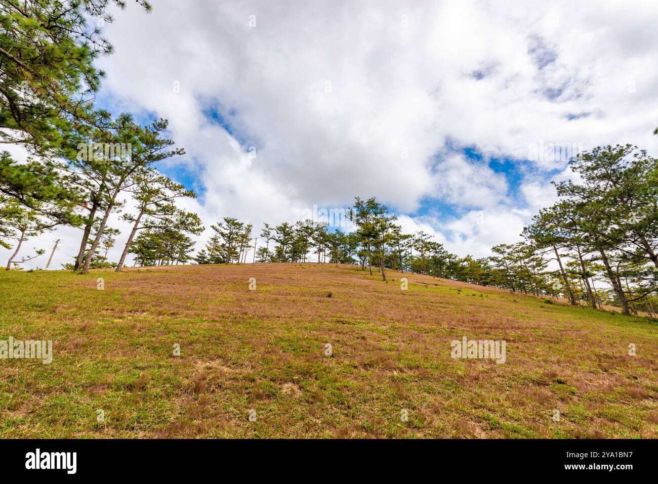 Nature at Suoi Vang lake, Dalat countryside, Vietnam, amazing wide ...