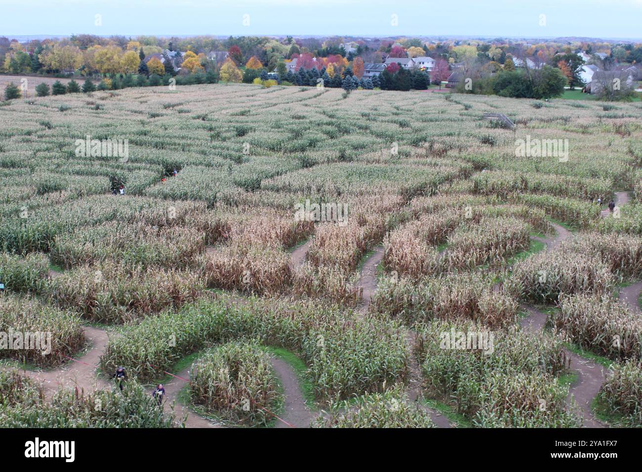 Richardson Adventure Farm World's Largest Corn Maze in autumn in Spring ...