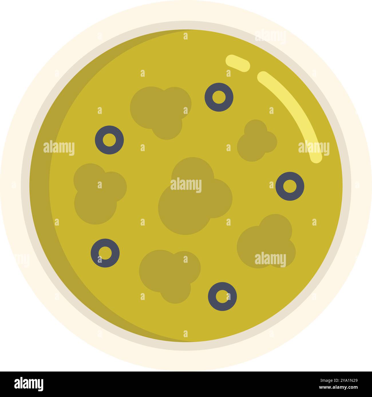 Petri dish with colonies of bacteria growing in yellow culture medium ...