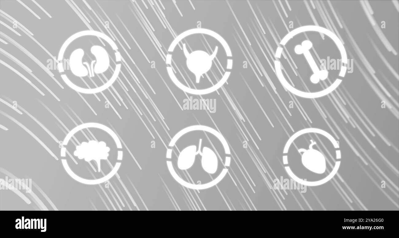 Image of human body icons over grey background with lines. Science ...