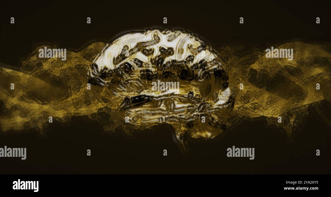 Human skull in 4k hi-res stock photography and images - Alamy