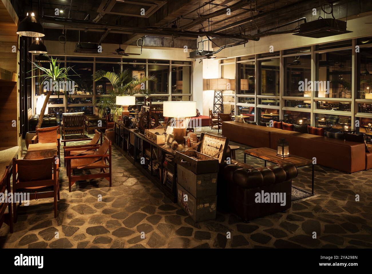 Trendy insects hi-res stock photography and images - Alamy