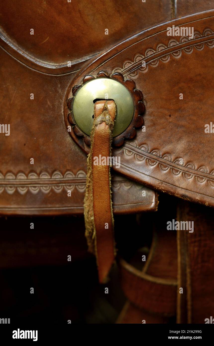 Close up saddle decorative hi-res stock photography and images - Alamy
