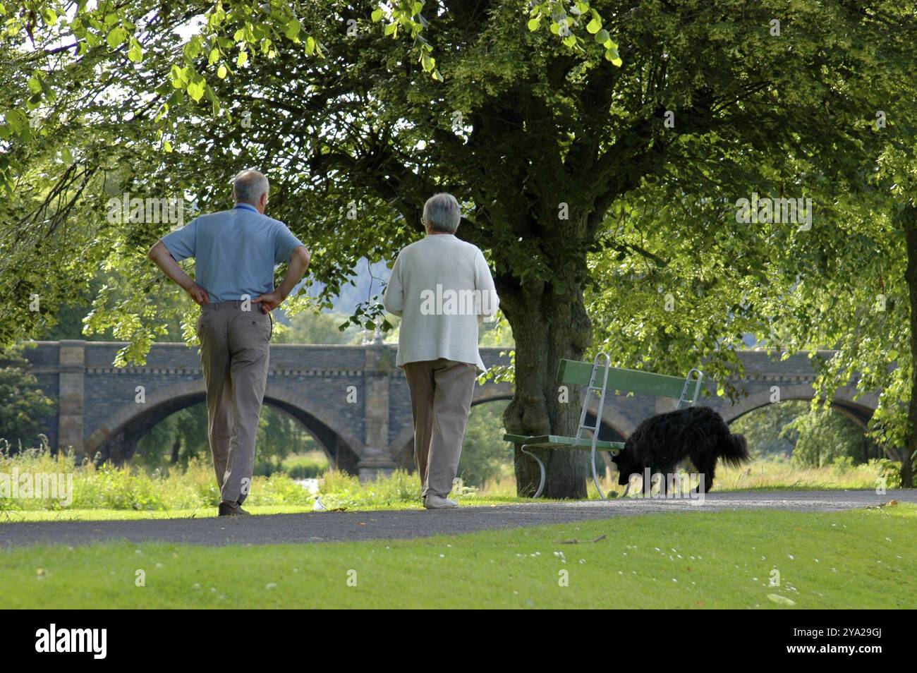 Couple dog walks in park hi-res stock photography and images - Alamy