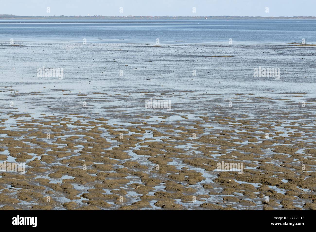 Wadden Sea National Park at low tide on the German North Sea coast ...