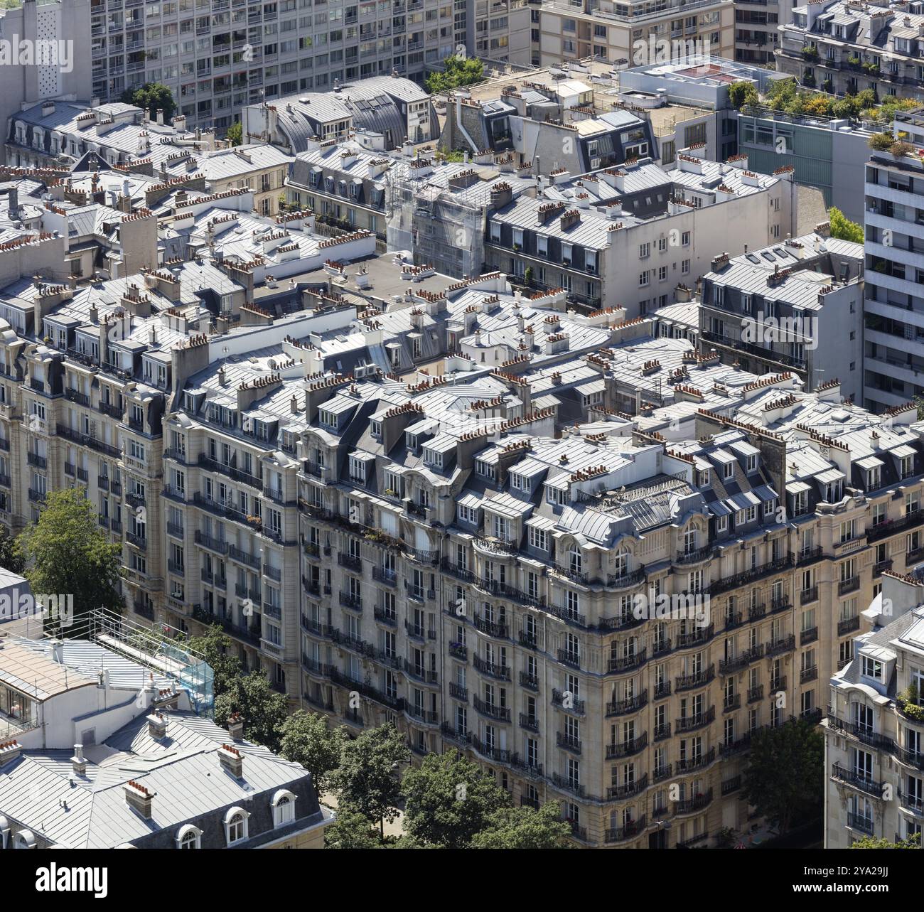 Typical Parisian roofs and buildings in a dense urban environment ...