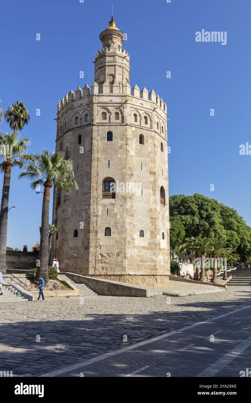 Watchtower under blue sky hi-res stock photography and images - Alamy