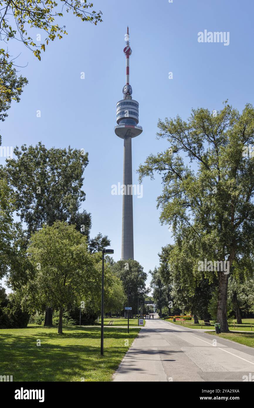 High transmission tower towers above the trees in the municipal park ...