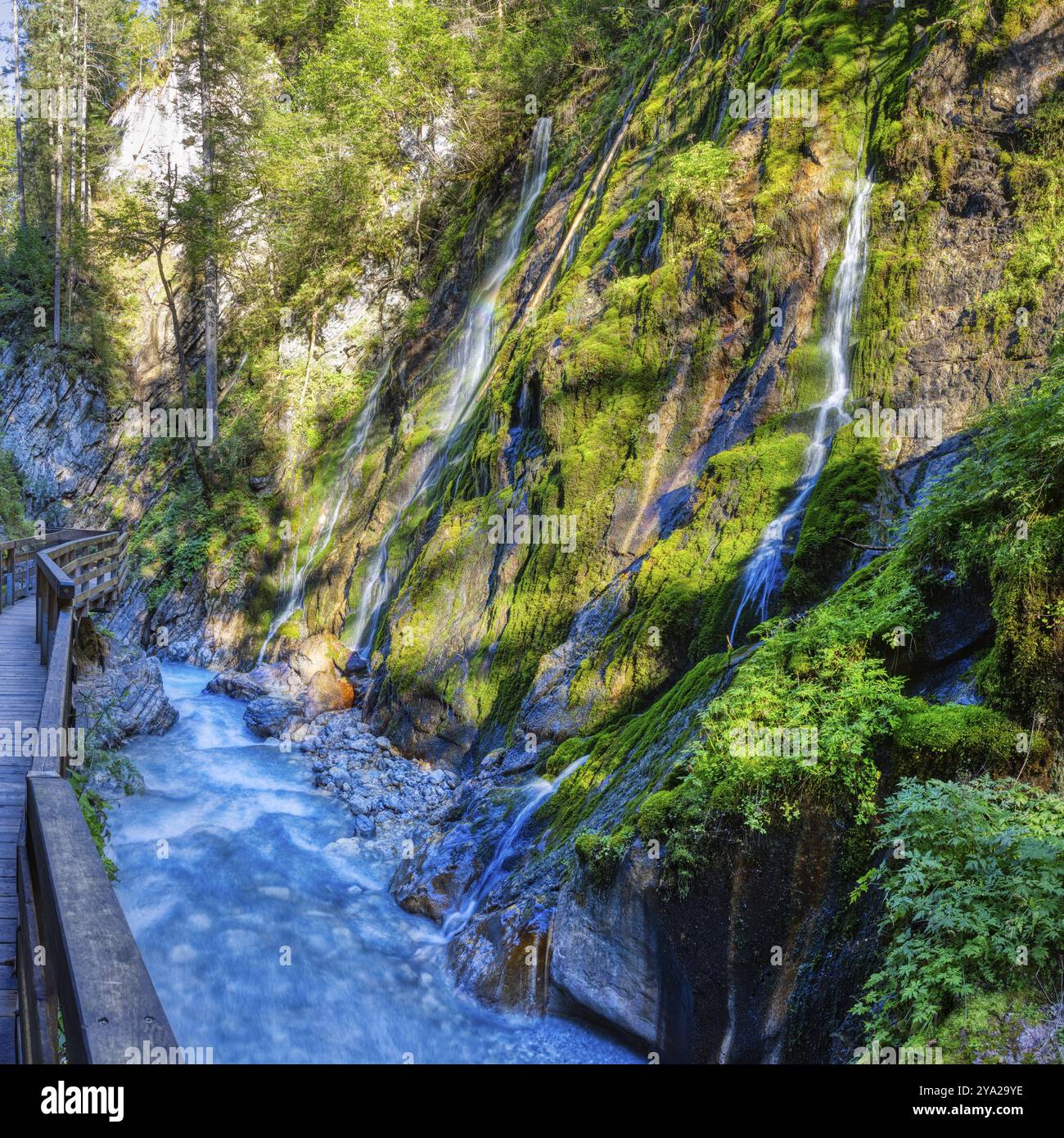A crystal-clear river flows through moss-covered rocks and trees in a ...