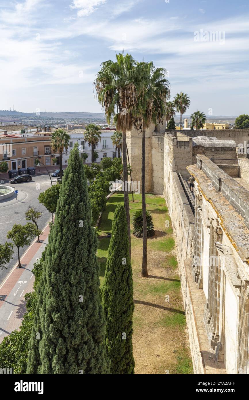 Green garden with cypresses and palm trees along a historic wall, Jerez ...