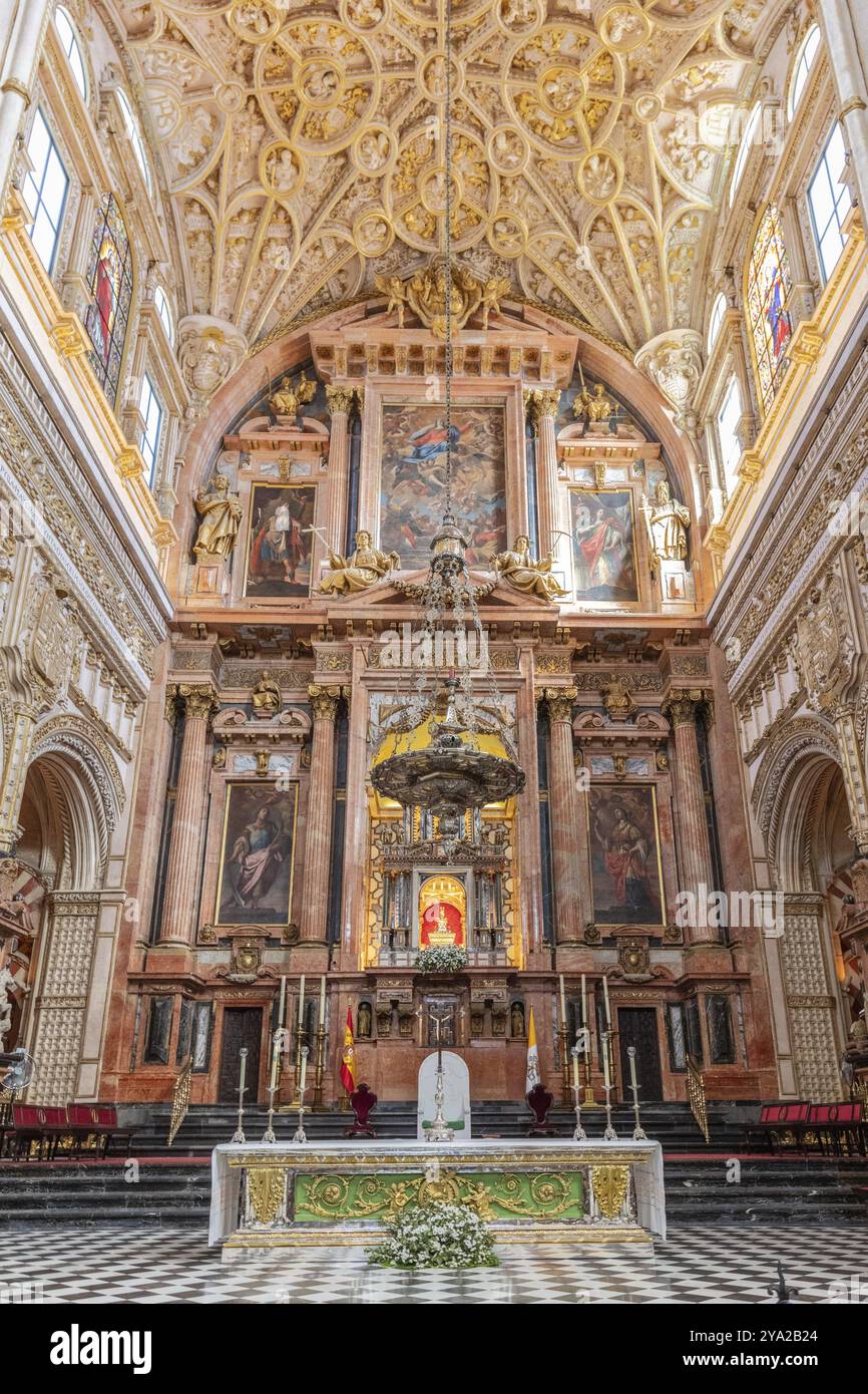 Magnificent baroque altar in a cathedral with an ornate ceiling ...
