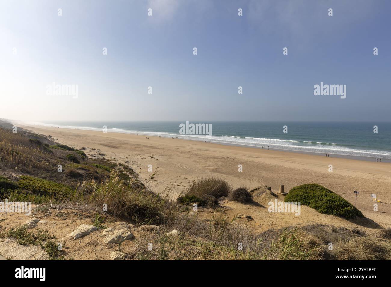 A wide, quiet beach with dunes and undulating sea under a clear blue ...