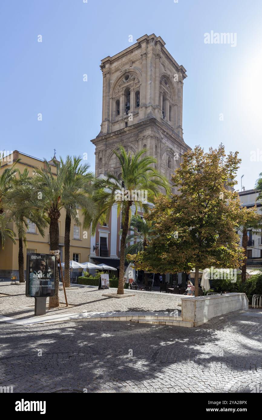 Sunny square palm trees hi-res stock photography and images - Alamy
