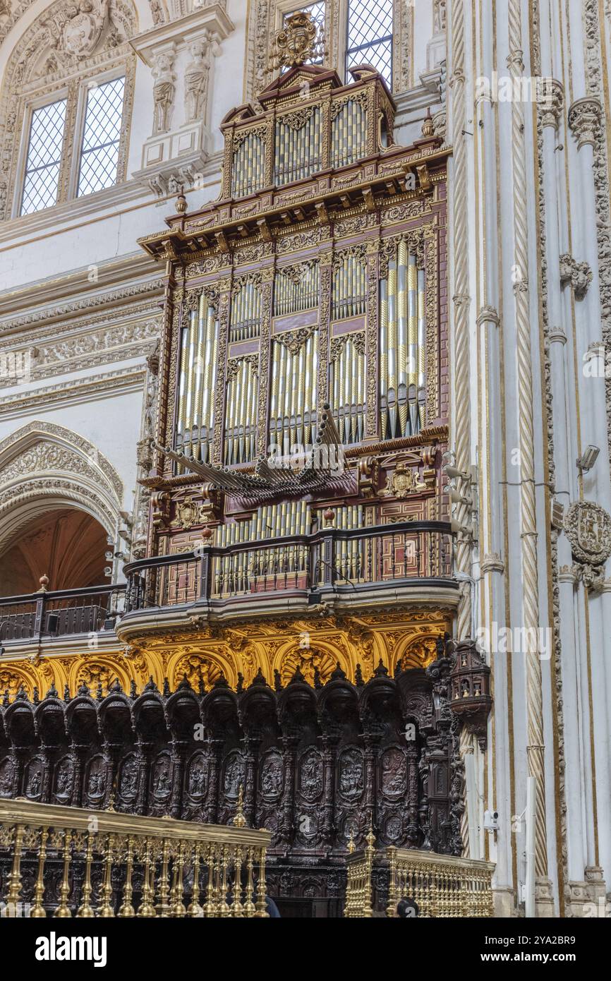 Gold coloured organs hi-res stock photography and images - Alamy