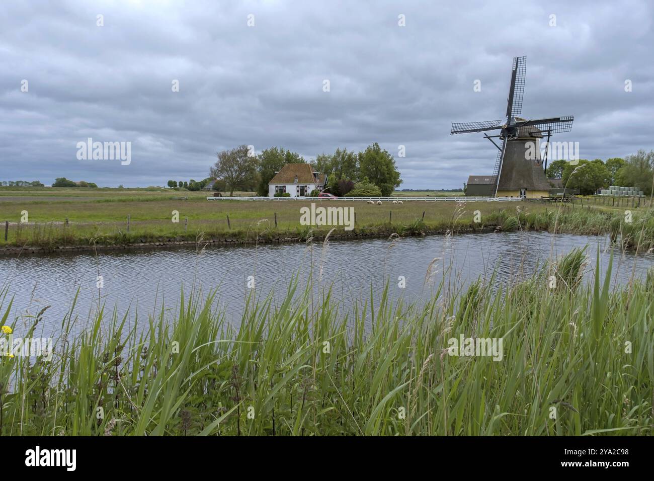 Nijlannermole hi-res stock photography and images - Alamy