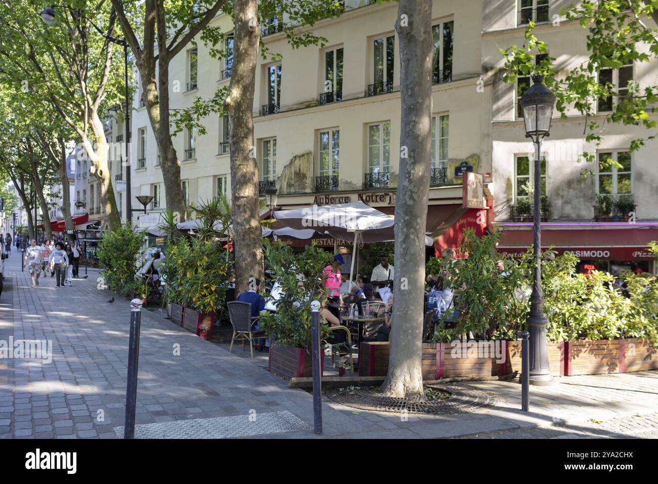 Lively street cafe with customers under shady trees, Paris Stock Photo ...