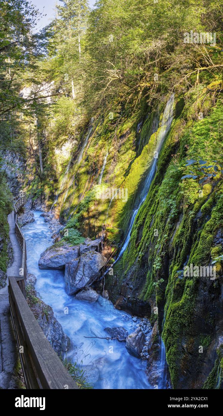 A narrow gorge with lush moss, waterfalls and a peaceful forest path ...