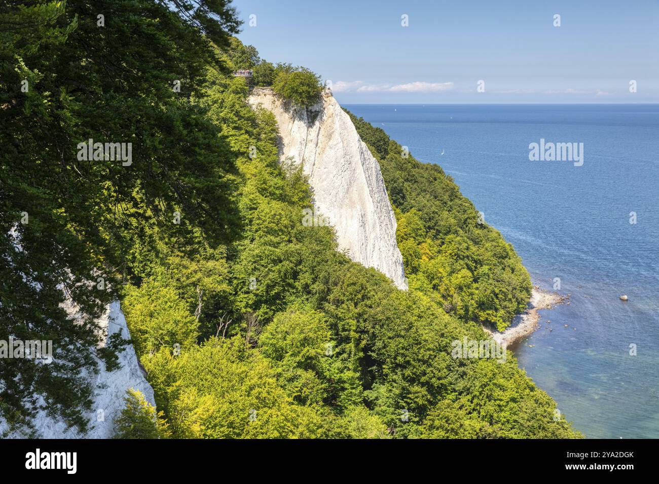 Steep cliffs with lush vegetation tower over the blue sea, Ruegen ...