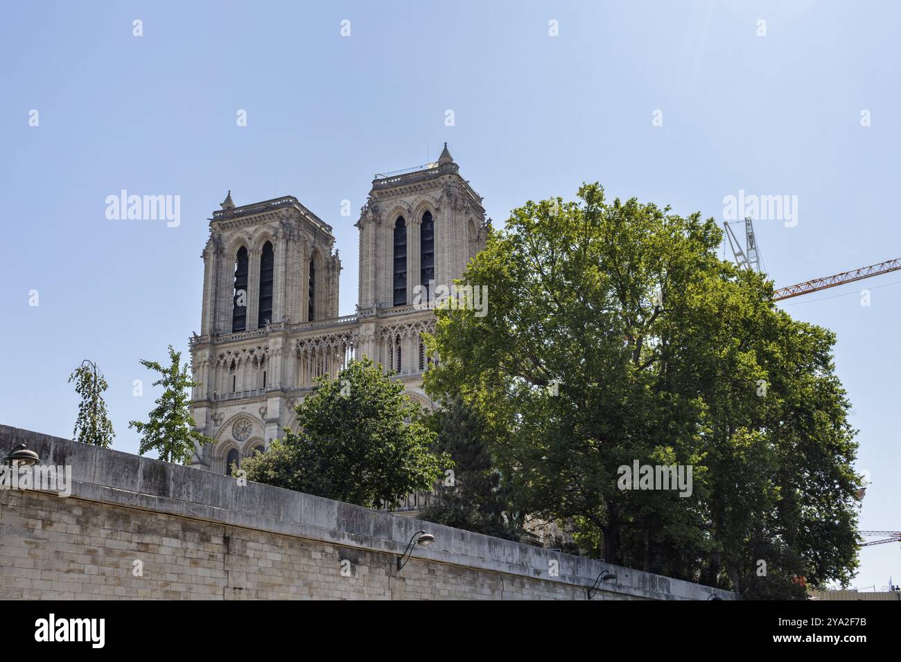 View of Notre-Dame Cathedral with its two towers and a tree in the foreground against a blue sky ...