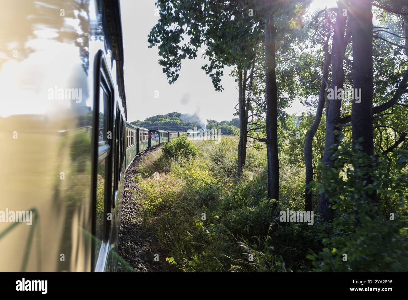 A train travelling through a green landscape, surrounded by trees and ...